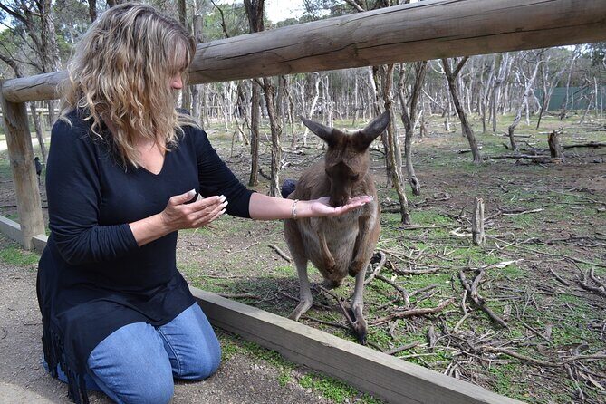 Brisbane Bus Tour: City & River Views - FAQ