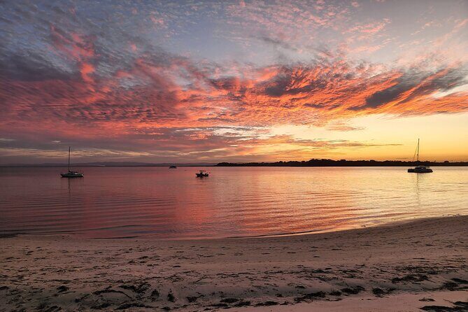 Brisbane day trip to Bribie Island - Who Is This Tour Best For?