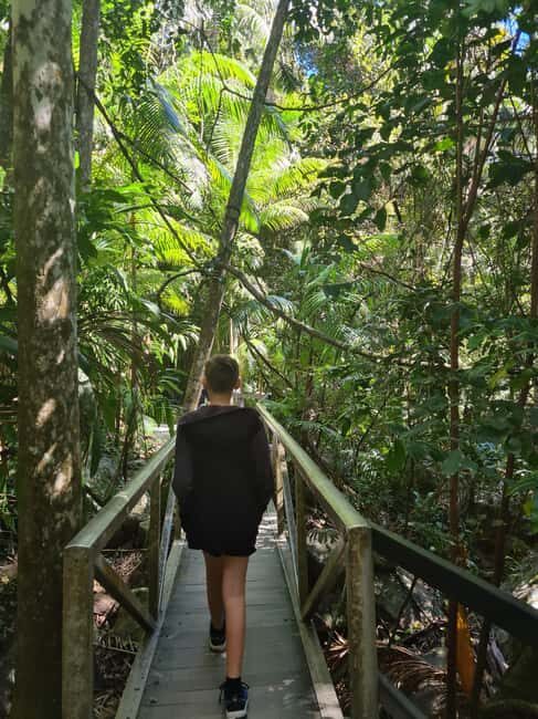 Brisbane Departure : Explore Tamborine Mountain Day Tour - A Closer Look at the Tamborine Mountain Day Tour