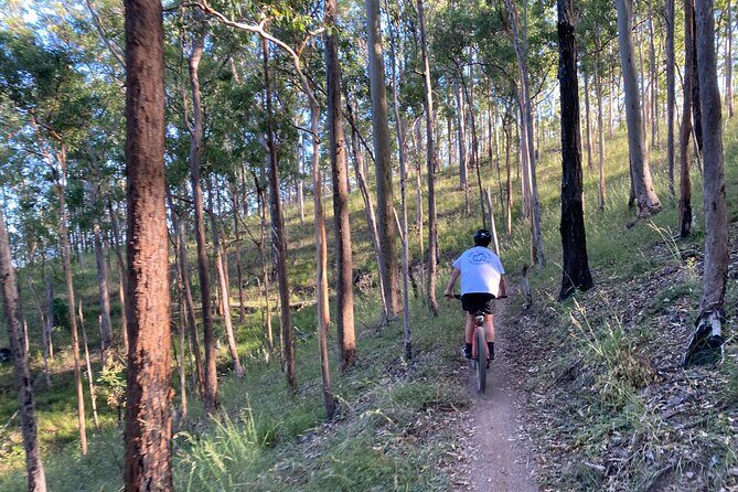 Brisbane Electric Mountain Bike Experience Tour - The Sum Up