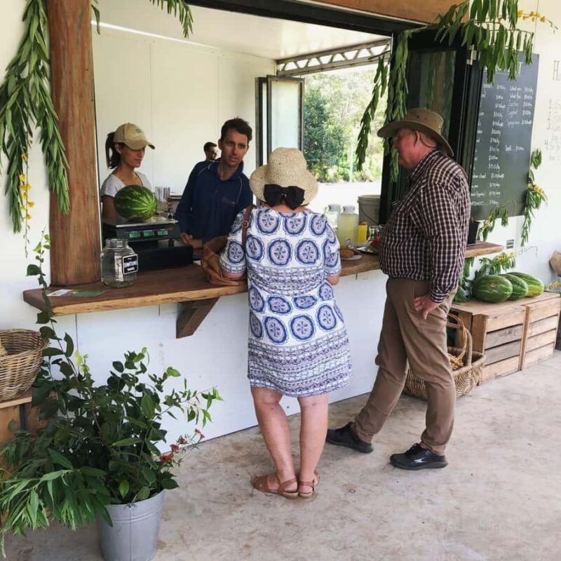 Brisbane Farm Day Trip | Ellia's Garden Scenic Rim - Exploring Ellias Garden: An Authentic Farm Experience Close to Brisbane