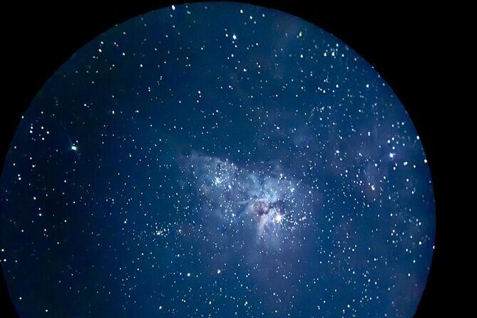 Brisbane: Glow Worms, Sunset, Telescope Stargazing & Dinner - Final Thoughts: Who Will Love This Tour?
