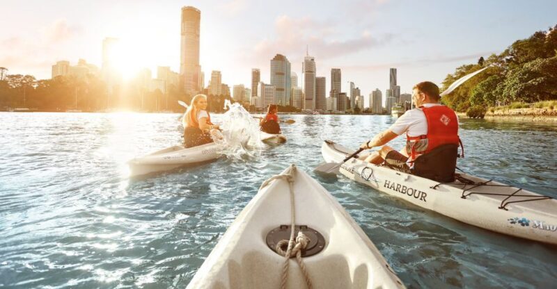 Brisbane: Guided River Kayak Tour - What Makes This Tour Special