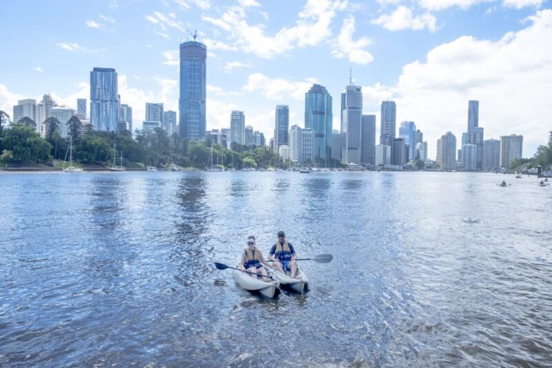 Brisbane: Guided River Kayak Tour - Authentic Experiences and Authentic Insights