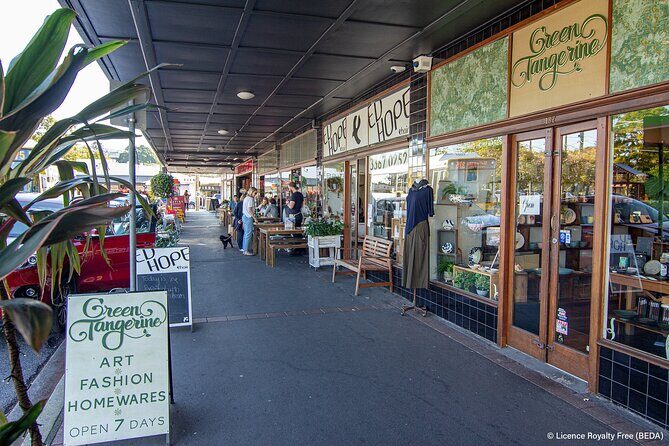 Brisbane Insights 4 Hour Tour - What the Reviews Say