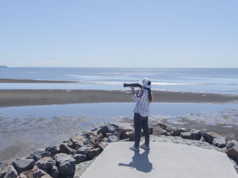 Brisbane: Kangaroos, Birds and Mangroves Coastal Tour - FAQ