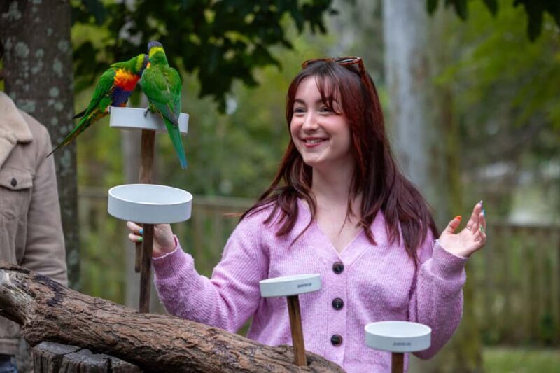 Brisbane: Lone Pine Koala Sanctuary Day Pass - Practical Details: Visiting, Timing, and Cost