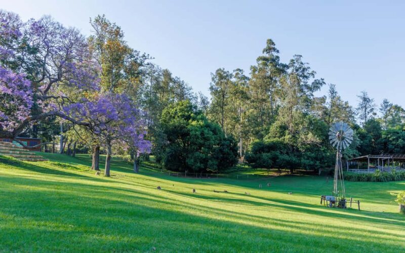Brisbane: Lone Pine Koala Sanctuary Day Pass - Frequently Asked Questions