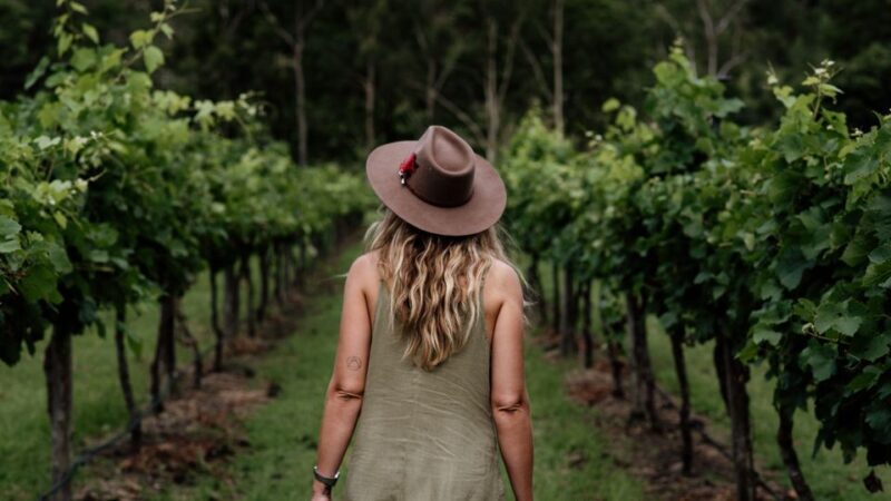 Brisbane: Luxury Winery Tour with Gourmet Lunch & Distillery - Who Will Appreciate This Tour?