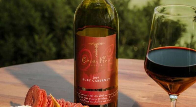 Brisbane: Picnic in the Vines - The Experience: What You Can Expect