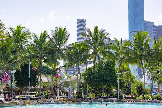 Brisbane Private Shore Excursions with Lone Pine Koala Sanctuary - A Balanced Look at the Price