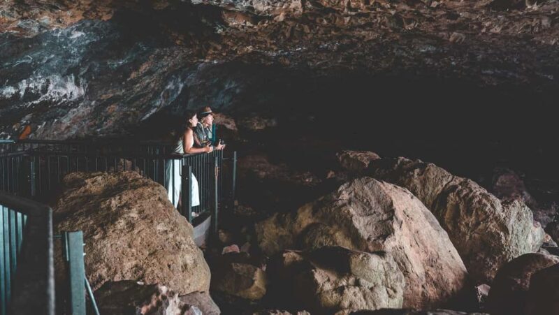 Brisbane: Rainforests, Waterfalls and Glow Worm Cave Tour - Key Points