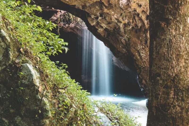 Brisbane: Rainforests, Waterfalls and Glow Worm Cave Tour - The Journey Begins: From Brisbane to the Hinterland