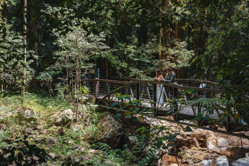 Brisbane: Rainforests, Waterfalls and Glow Worm Cave Tour - Cedar Creek Estate and the Glow Worm Caves