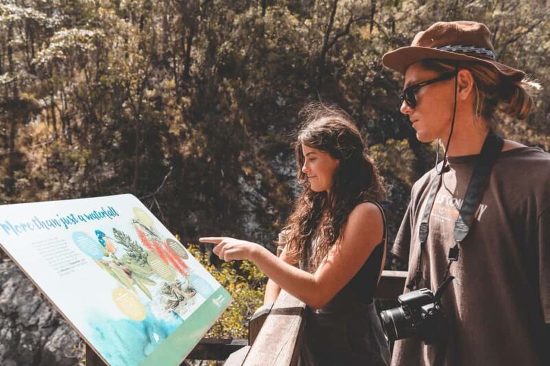 Brisbane: Rainforests, Waterfalls and Glow Worm Cave Tour - Art, Food, and Wildlife in Gallery Walk