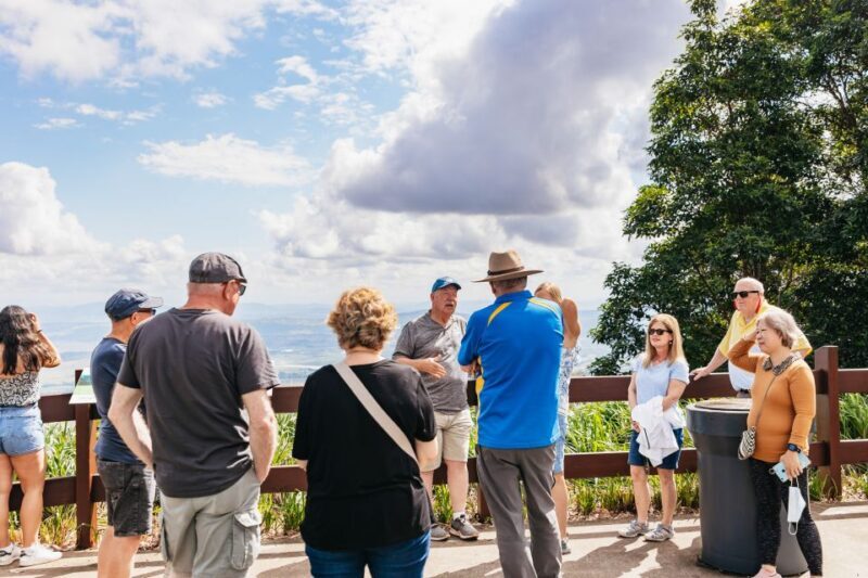 Brisbane: Rainforests, Waterfalls and Glow Worm Cave Tour - The Natural Bridge and Ancient Rainforests in Springbrook