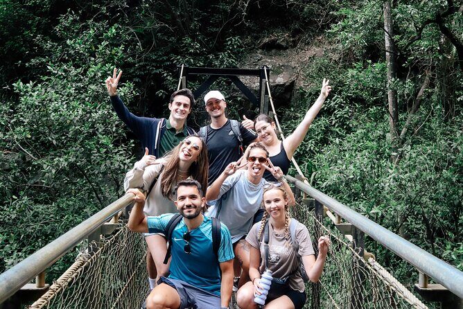 Brisbane: Springbrook 7 Waterfalls and Natural Bridge Day Tour - An Authentic Day in Springbrook: Exploring Waterfalls and Natural Wonders