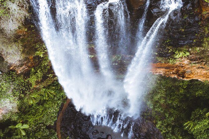 Brisbane: Springbrook 7 Waterfalls and Natural Bridge Day Tour - Key Points