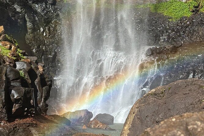 Brisbane: Springbrook 7 Waterfalls and Natural Bridge Day Tour - FAQ: Your Questions About This Tour Answered