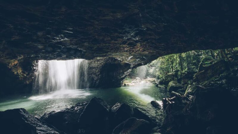 Brisbane: Springbrook 7 Waterfalls and Natural Bridge Tour - An Introduction to Springbrook’s Natural Wonders