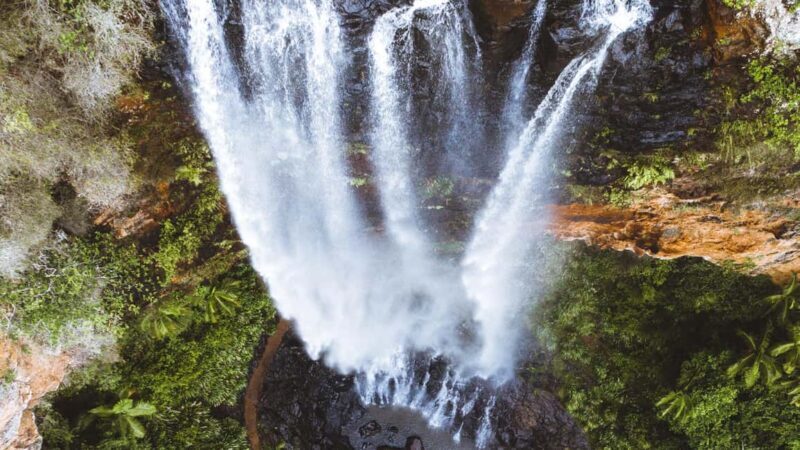 Brisbane: Springbrook 7 Waterfalls and Natural Bridge Tour - Why This Tour Delivers Value