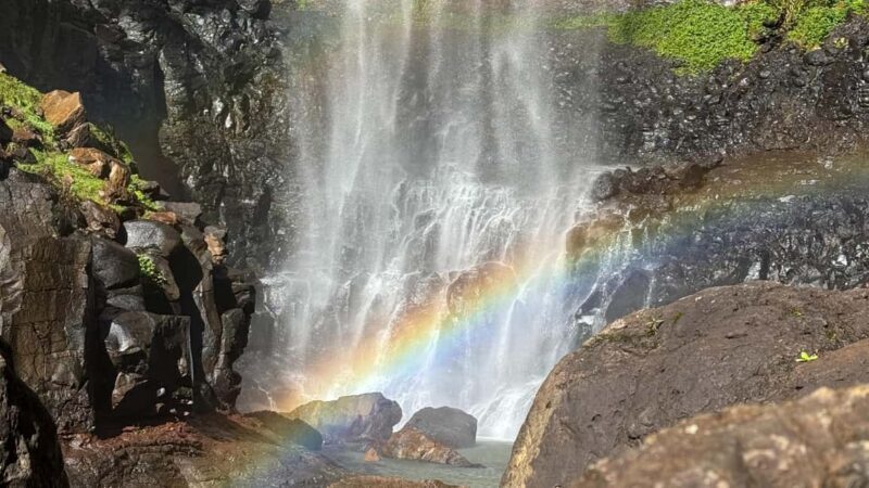 Brisbane: Springbrook 7 Waterfalls and Natural Bridge Tour - Detailed Breakdown of the Experience