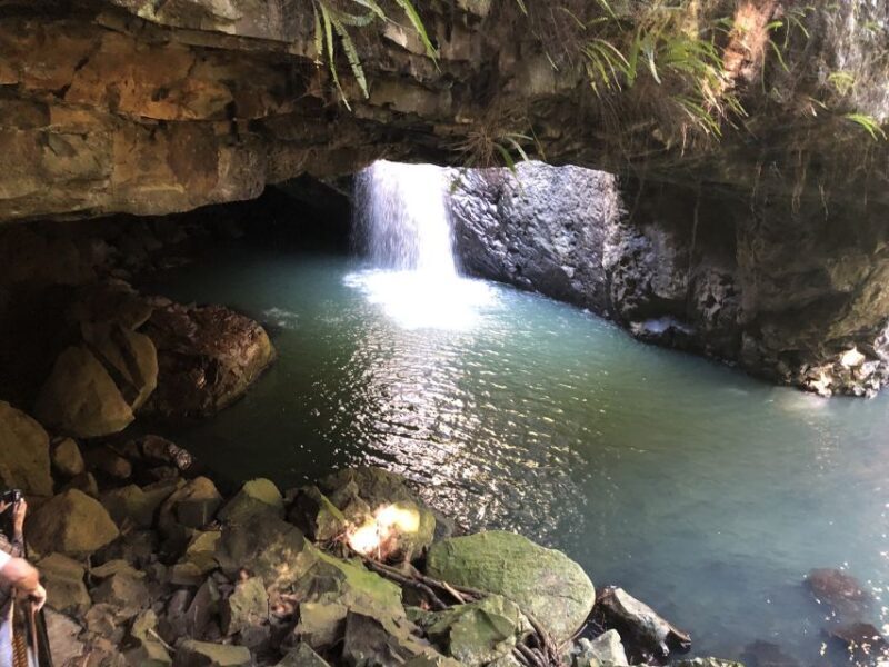 Brisbane: Springbrook and Mt Tamborine Glow Worm and Skywalk - What Makes This Tour Stand Out?