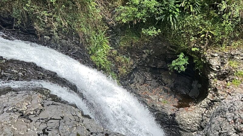 Brisbane: Springbrook and Mt Tamborine Glow Worm and Skywalk - Final Thoughts: Who Is This Tour Best For?
