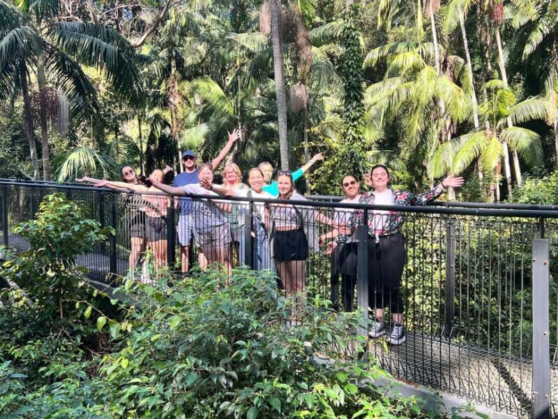 Brisbane: Springbrook and Mt Tamborine Glow Worm and Skywalk - FAQs