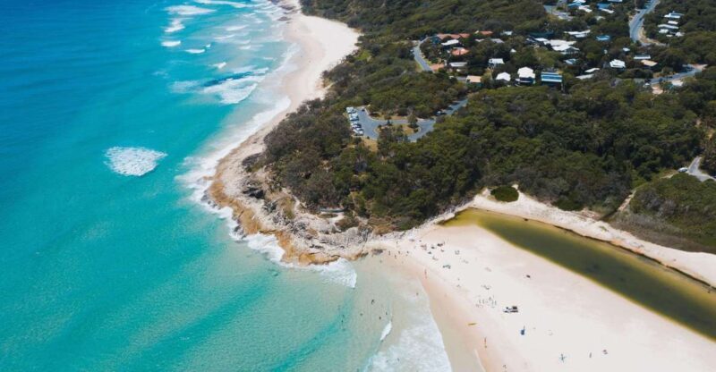 Brisbane: Stradbroke Island Eco Tour - Small Group, Full Day - Wildlife and Nature: What You’ll Likely Encounter