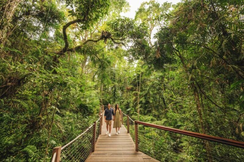 Brisbane to Daintree Whitsundays & Reef 9 Day Comfort Tour - Starting in Brisbane: Ease into the Journey