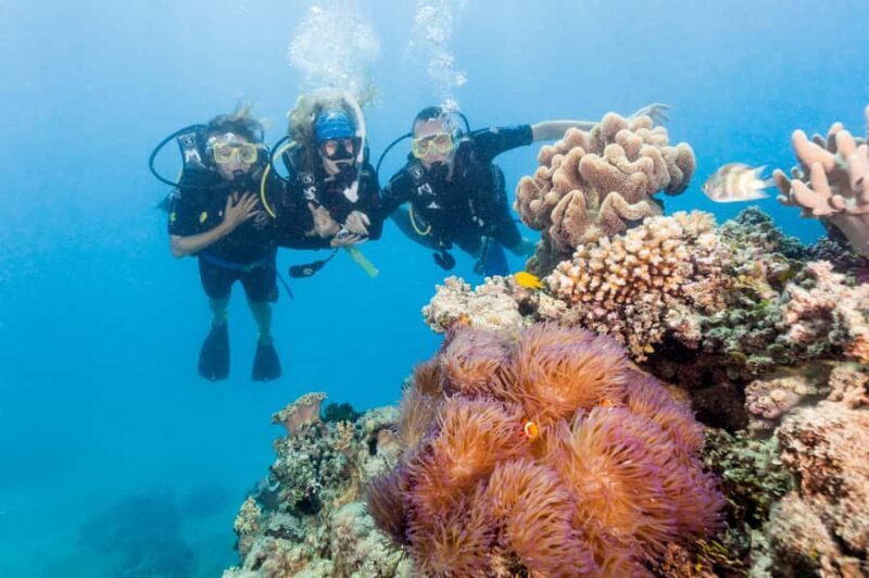 Brisbane to Daintree Whitsundays & Reef 9 Day Comfort Tour - Exploring Waterfalls, Lakes & the Curtain Fig Tree in Atherton