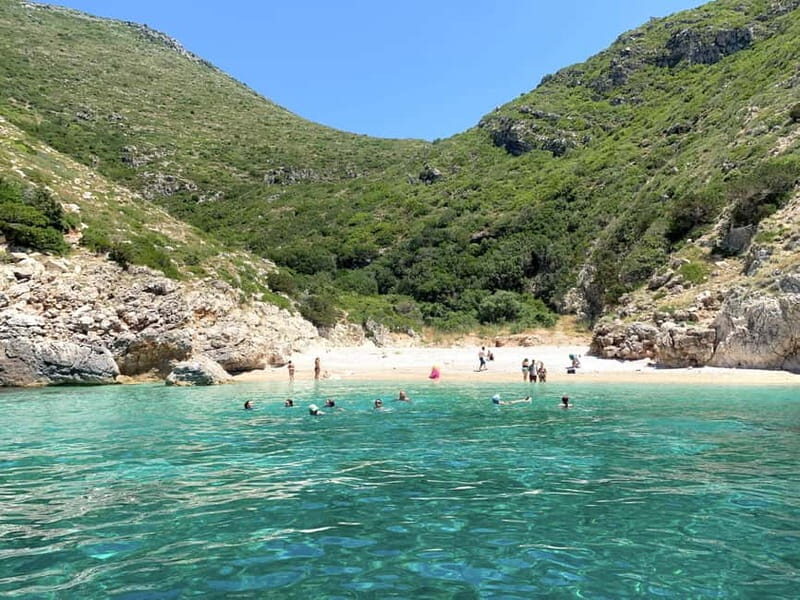 Bristan Bay Speedboat Tour Vlore - Authentic Insights from Past Travelers