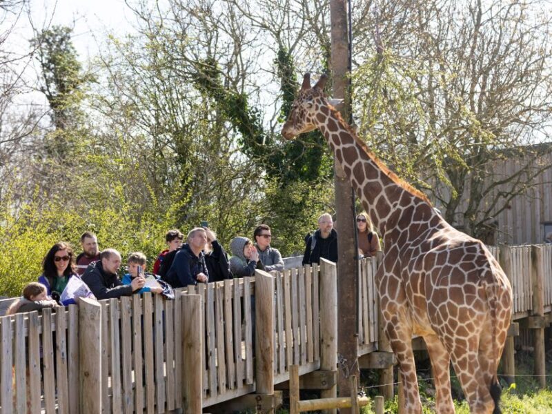 Bristol: Bristol Zoo Project Entry Ticket - Exploring Bristol Zoo Project: A Closer Look at This Conservation Haven