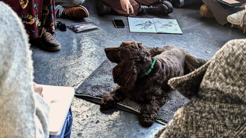 Bristol: Dog Life Drawing led by local Artist Cai Burton - What You Can Expect from the Dog Life Drawing Class in Bristol