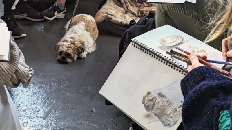 Bristol: Dog Life Drawing led by local Artist Cai Burton - The Itinerary in Detail