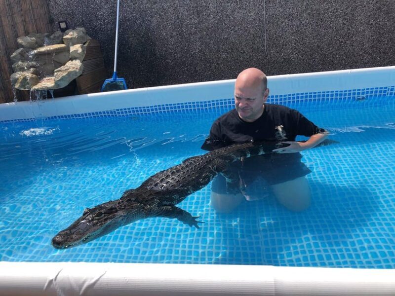 Bristol: Swimming with Crocodiles and Lunch x4 - What to Expect from the Bristol Croc Experience
