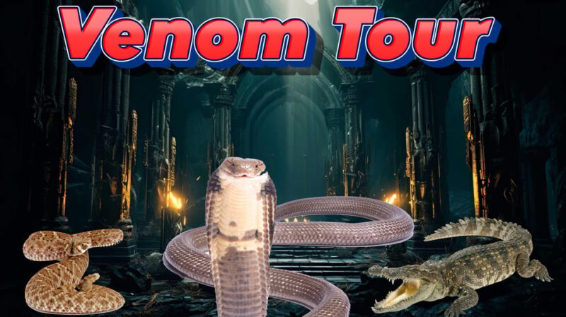 Bristol: Venomous Snake Tour with Reptile Photo - The Itinerary in Detail