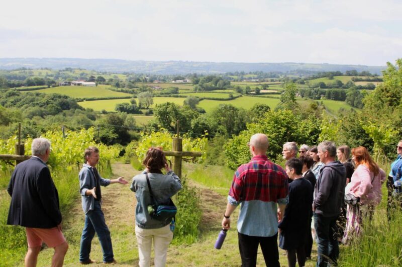 Bristol: Wine & Cheese in the Cheddar Valley - Key Points