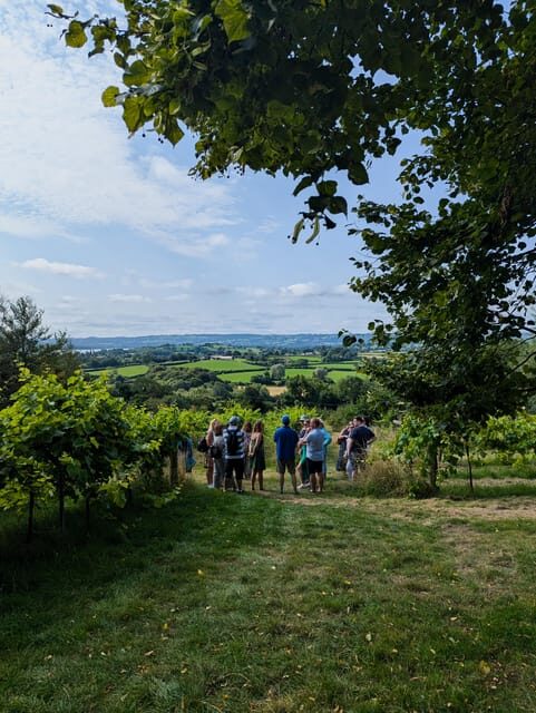 Bristol: Wine & Cheese in the Cheddar Valley - An In-Depth Look at the Tour