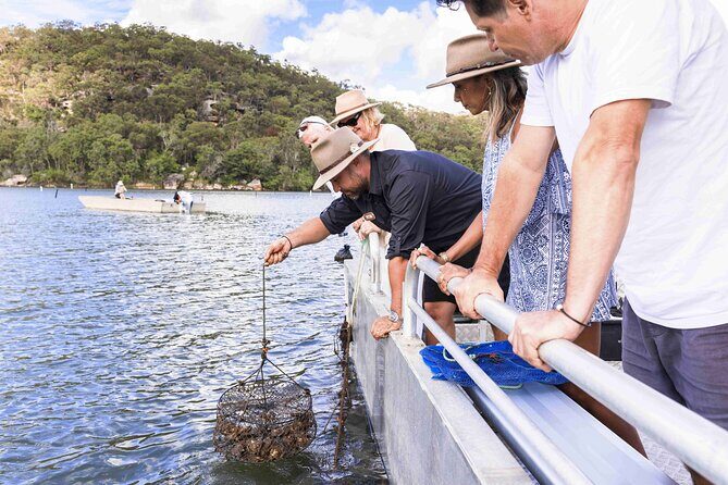 Broken Bay Pearl & Oyster Farm Tours - An In-Depth Look at the Experience