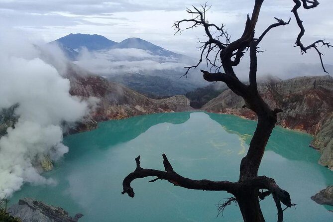 Bromo Ijen Tour From Bali - Key Points