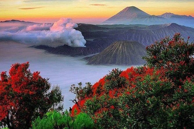 Bromo Ijen Tour From Bali - Who Will Love This Tour?