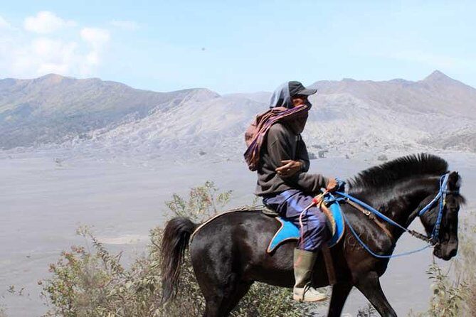 Bromo panorama tour to avoid the crowds - start Malang // 1 day tour - Key Points
