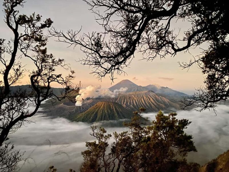 Bromo Sunrise Jeep Tour Included Shuttle From Malang - An In-Depth Look at the Bromo Sunrise Jeep Tour