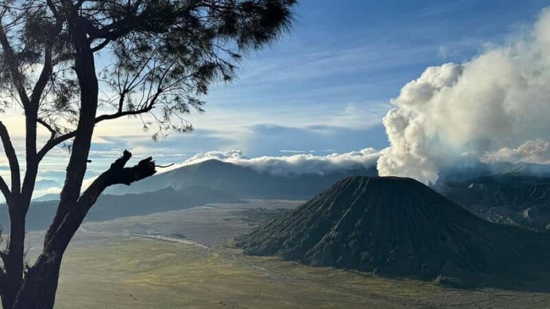 Bromo sunrise tour from Surabaya, Malang, or Probolinggo - An In-Depth Look at the Bromo Sunrise Tour