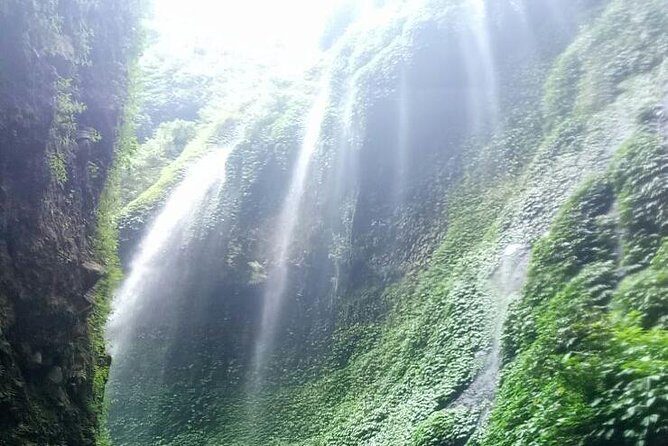 Bromo sunrise tour with start in Bali - flights included // 1 day tour - Final Thoughts: Is This Tour Right for You?