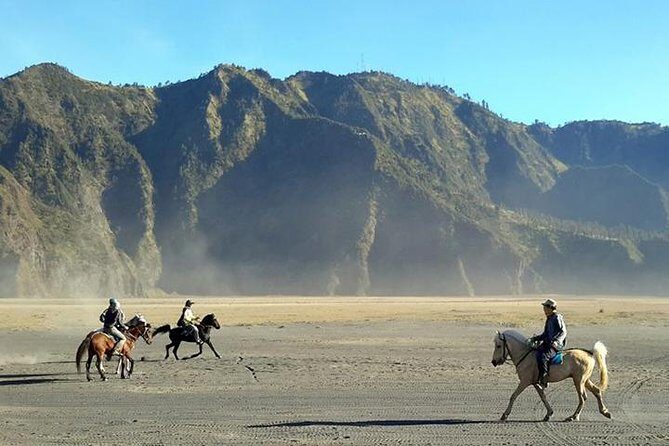 Bromo Tour Package: Midnight Bromo Open Trip from Batu - What Travelers Say