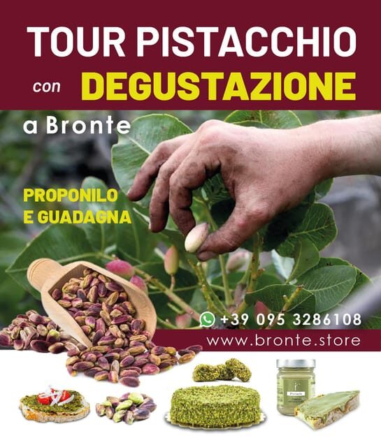Bronte: Tour e degustazione nelle piantagioni di pistacchi - Who Will Love This Experience