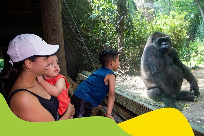 Bronx Zoo Admission Ticket - A Closer Look at the Bronx Zoo Experience